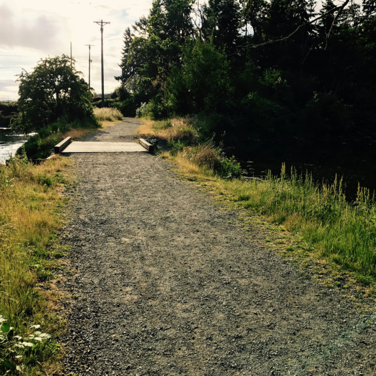 From contentment to complaining: the beginning of the wilderness ...