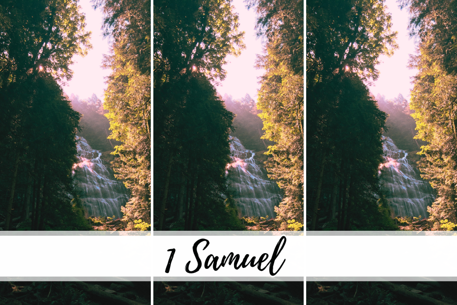 1 Samuel - A Brief Introduction - Uncovered Joy